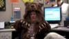 Workaholics Bear Coat – As Seen On TV - SPN
