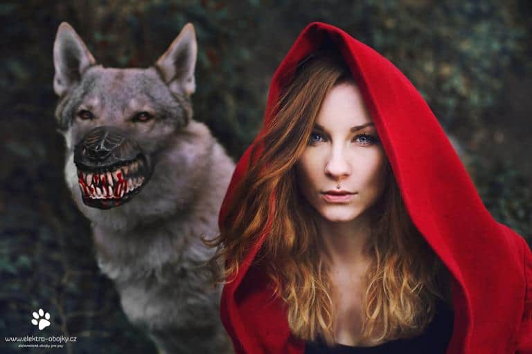 Werewolf Dog Muzzle – Gift For Large Dog Owners - SPN