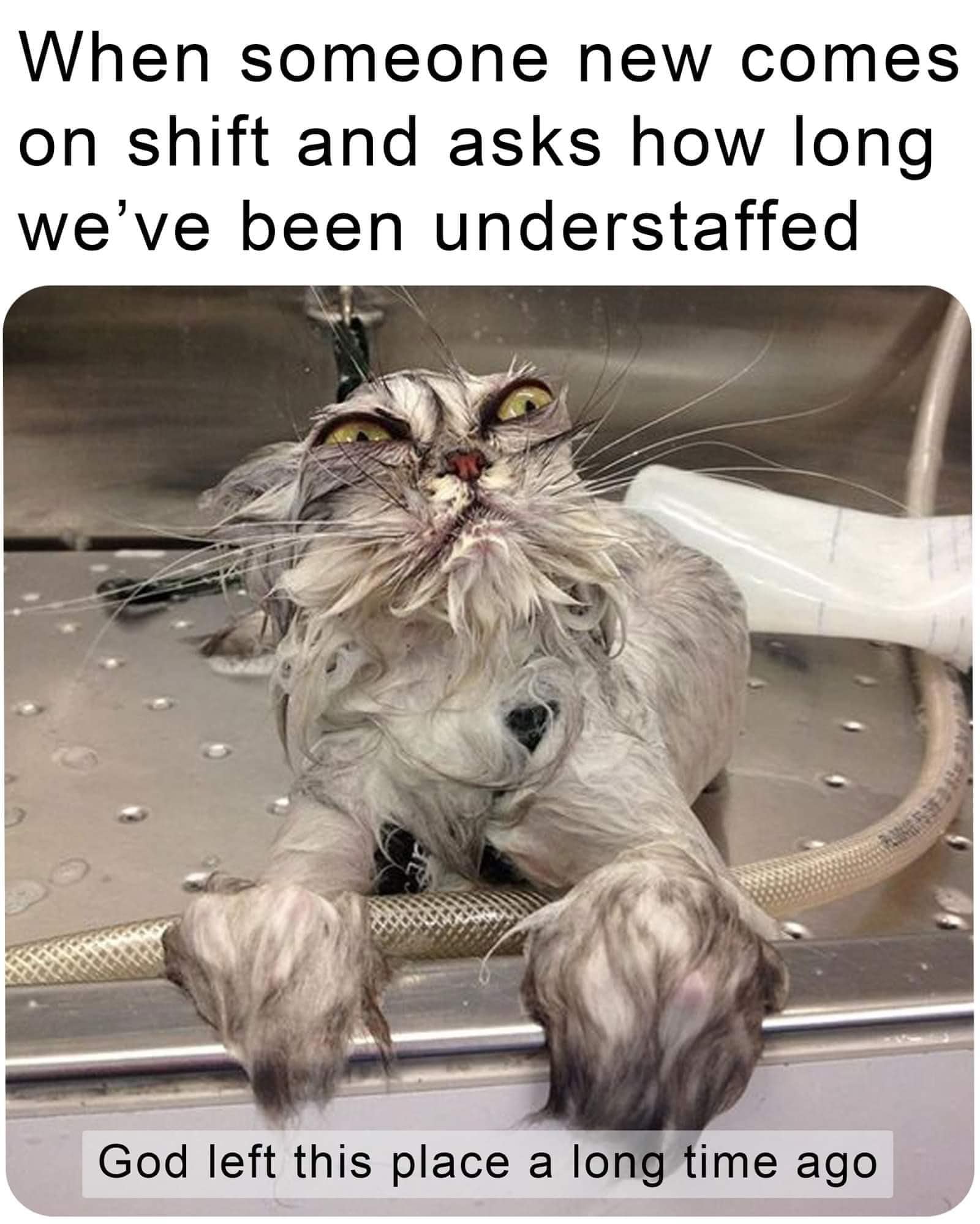 40 Memes Inspired By Your Job & Coworkers - SPN