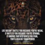 100 Motivational Memes & Quotes To Get You Through Work