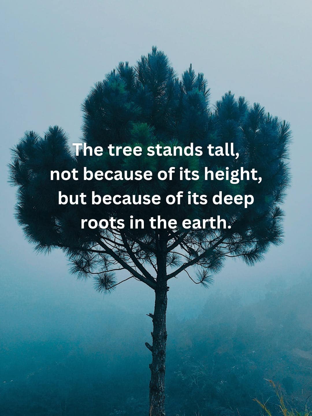 Motivational Quotes To Inspire Happiness - SPN