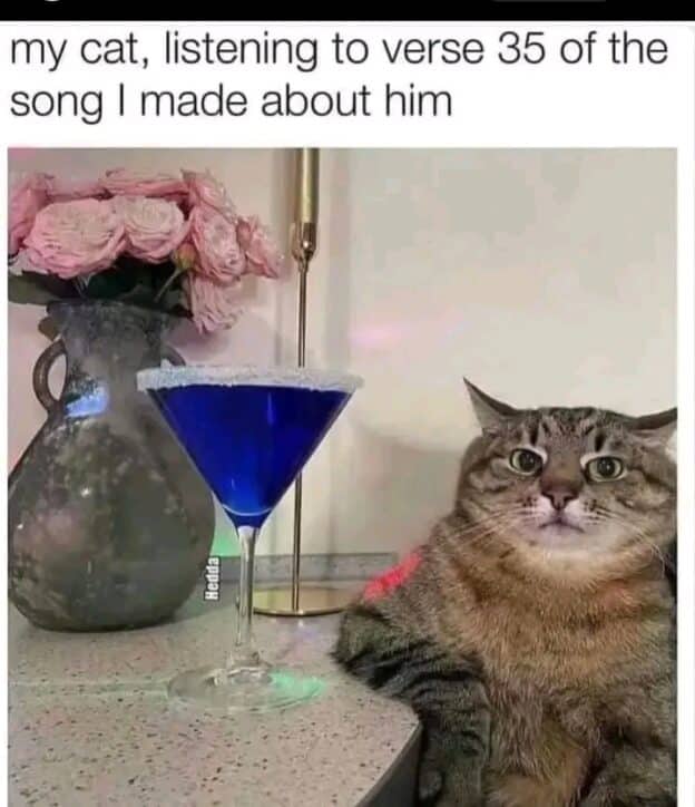 Corny Memes Because They Make Me Laugh - SPN