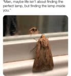 Corny Memes Because They Make Me Laugh - SPN